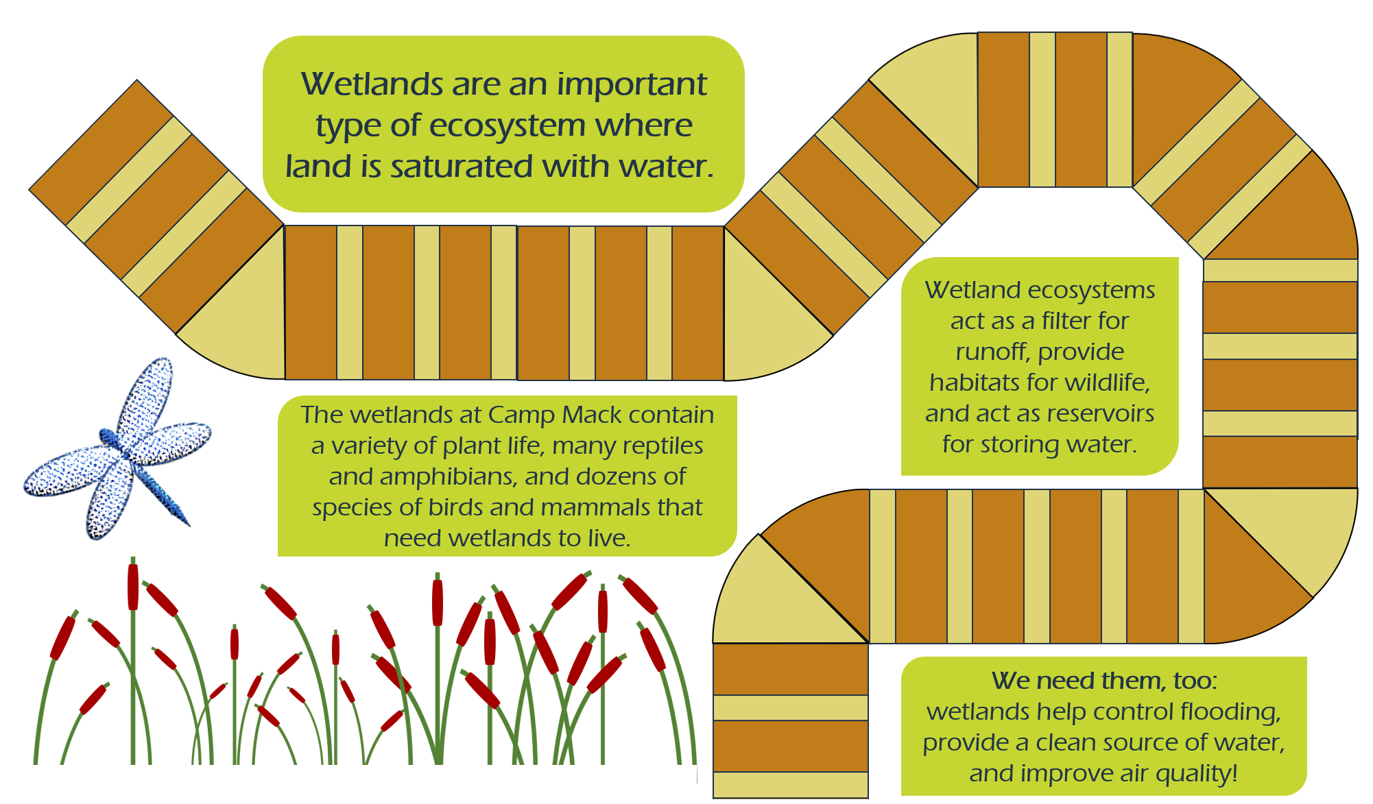 Wetlands - Camp Mack